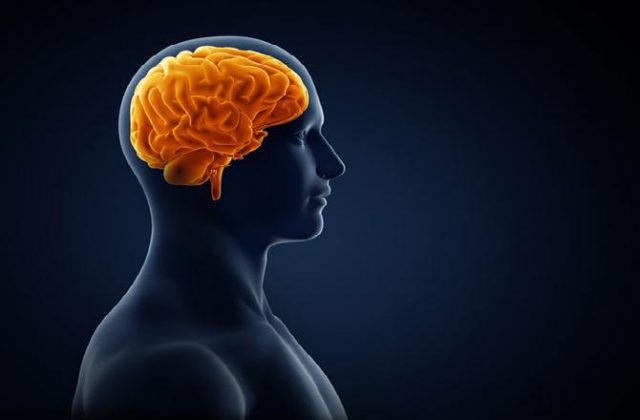 Brain works backwards to retrieve memories (Study) | Star Mag