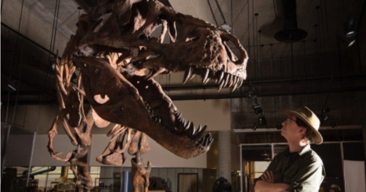 World’s Biggest T-Rex Discovered in Canada, Report | Star Mag