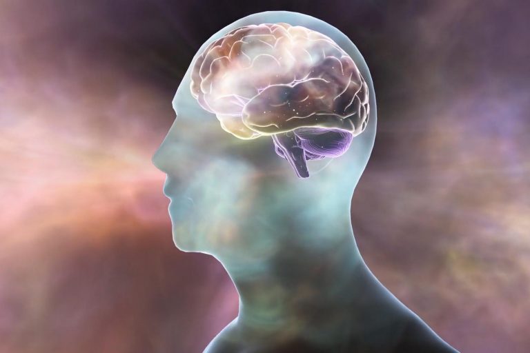 Study: Memory details fade over time, with only the main gist preserved | Star Mag