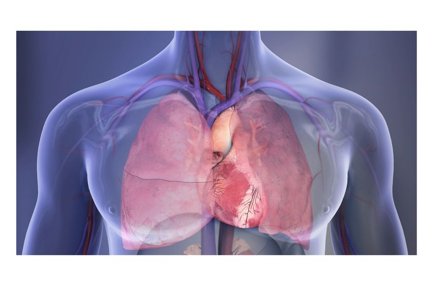 Study: Outcomes after heart bypass surgery better with ‘no-touch ...