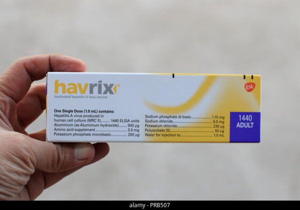 Understanding the Recommended Havrix Vaccine Schedule for Adults: One ...